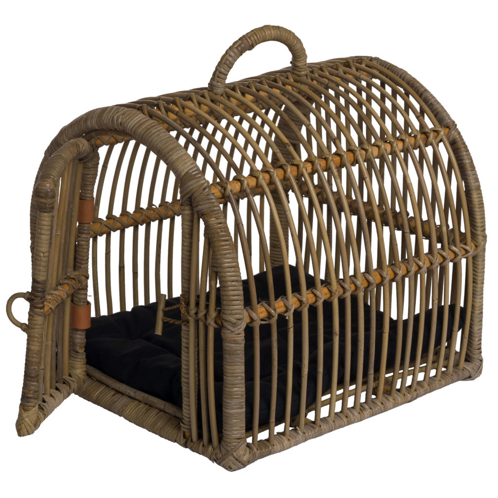 Cusca de pisici Timor - NaturaLiving